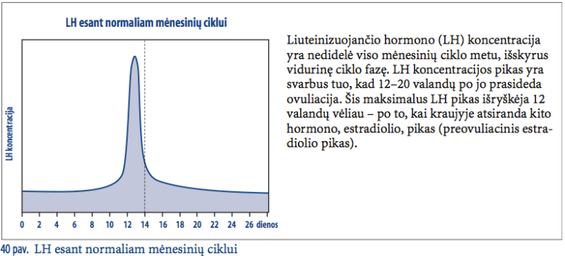 Liuteinizuojantis hormonas (LH) - Telesante